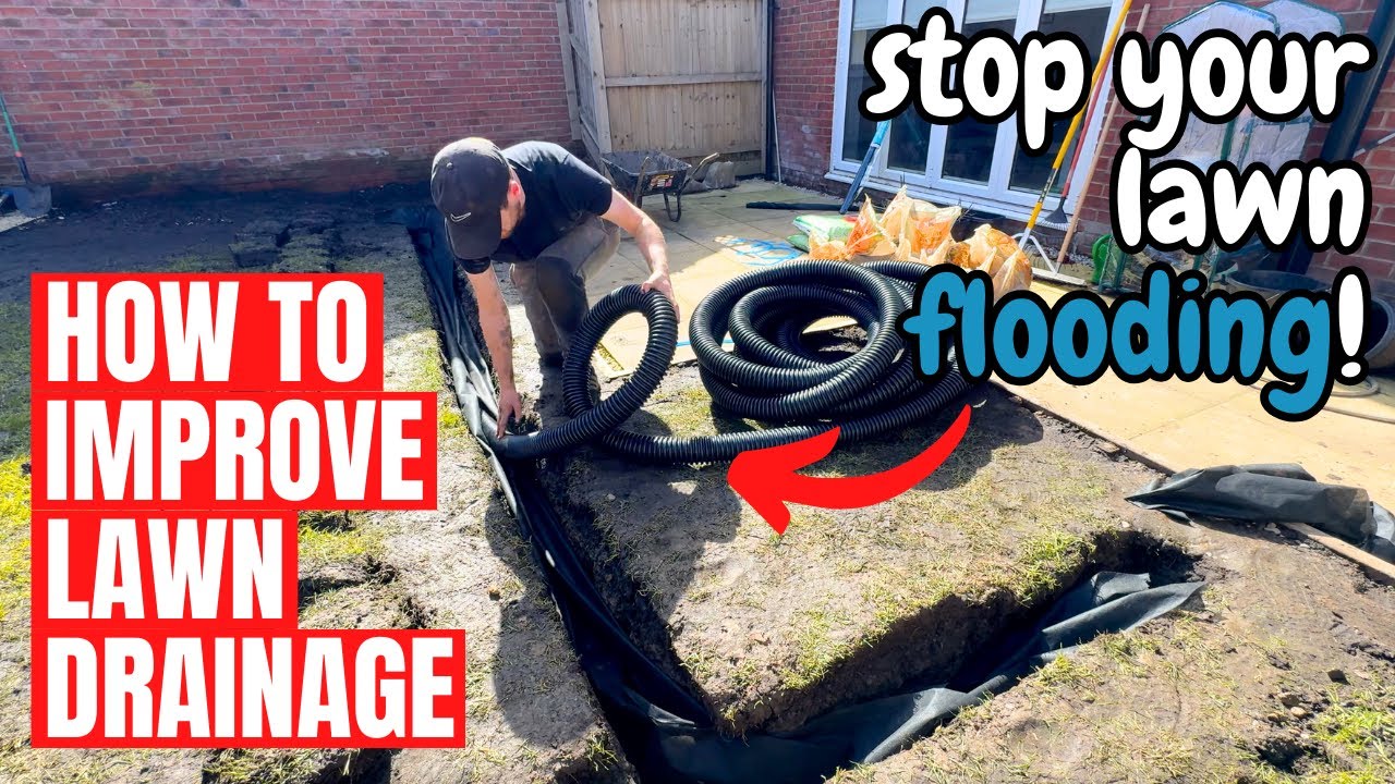 How to Improve LAWN DRAINAGE - Stop Your Lawn FLOODING - YouTube