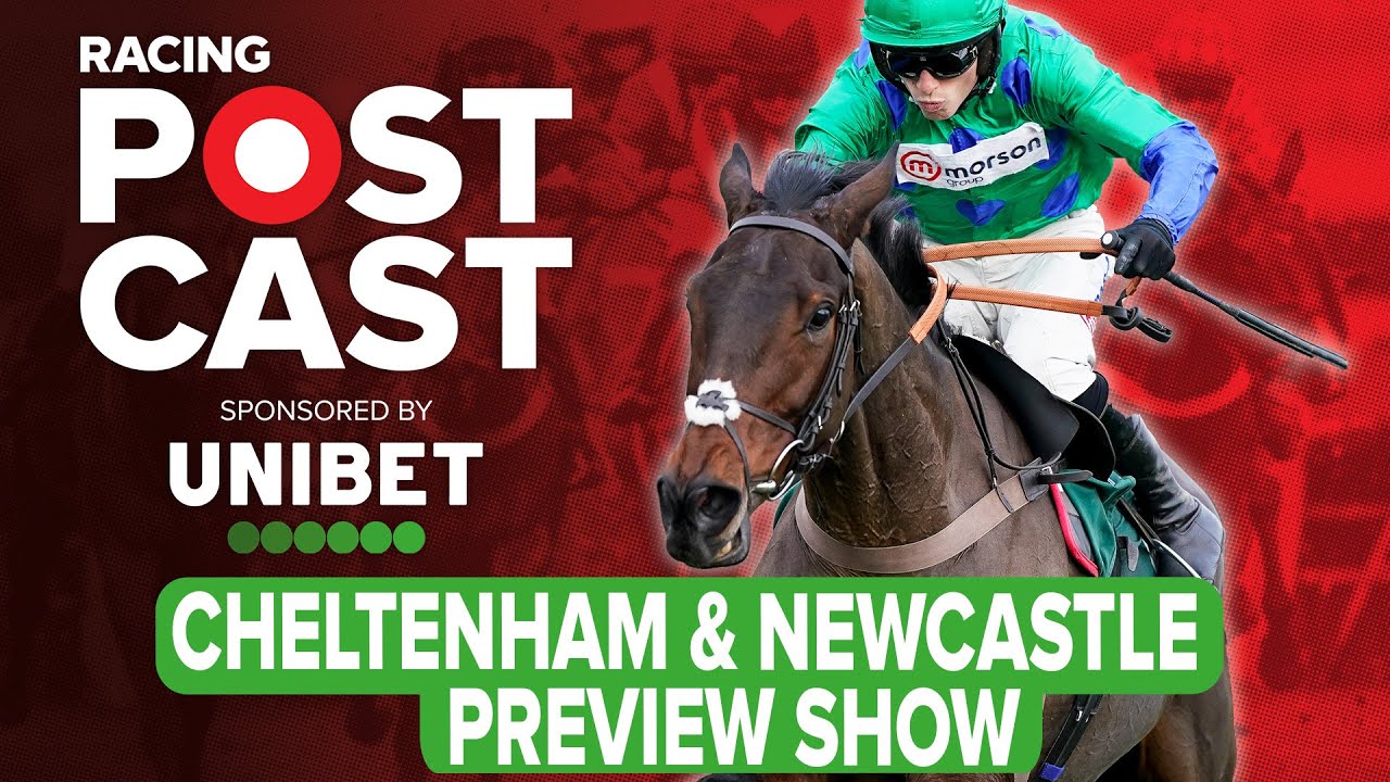 Cheltenham November Meeting 2024 | Horse Racing Tips | Racing Postcast ...