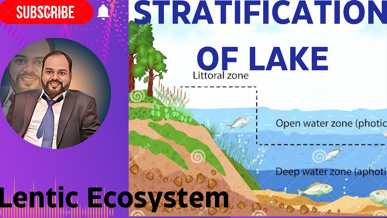 stratification in lake l pre Medical Neet Biology l AIIMS l 12th ...
