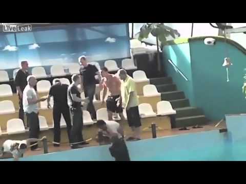 Fight at Russian Dolphin Pool - Yakety Sax - YouTube