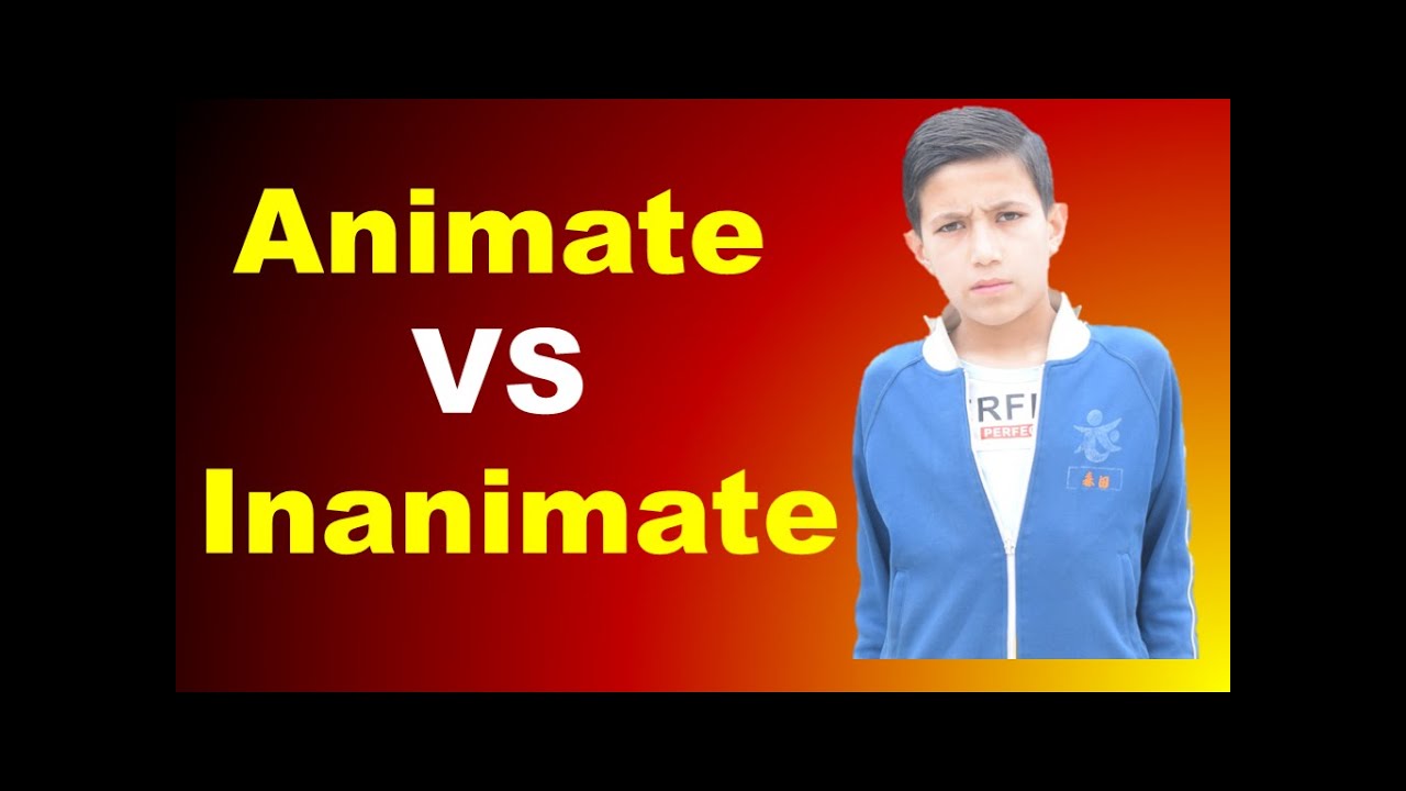 **Animate Vs Inanimate Nouns** ||English Crammer || - YouTube