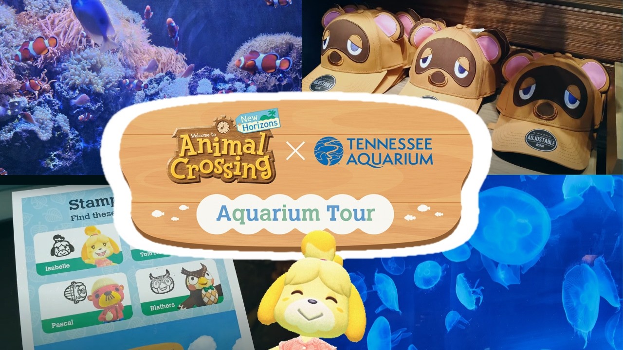 ACNH Aquarium Tour Collab Vlog - YouTube