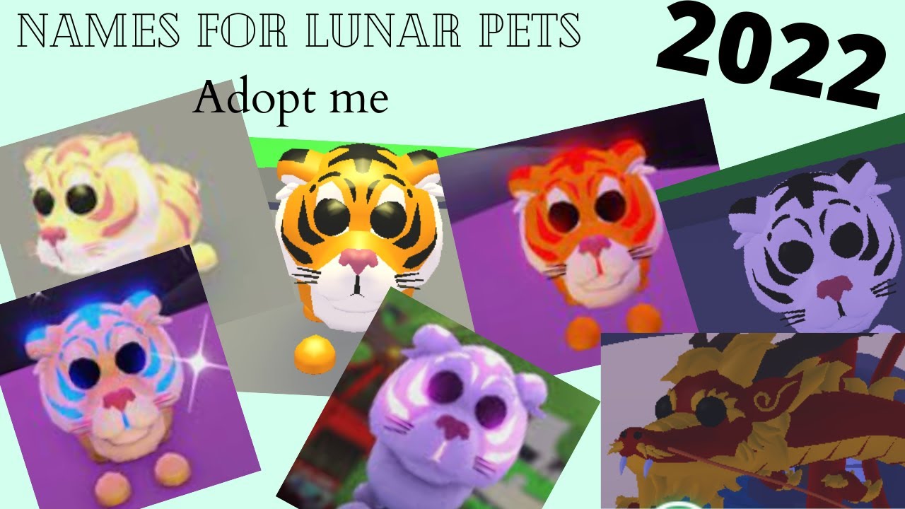 Names For Lunar Pets Year of the Tiger Adopt Me 2022 | DeliciousMiint ...