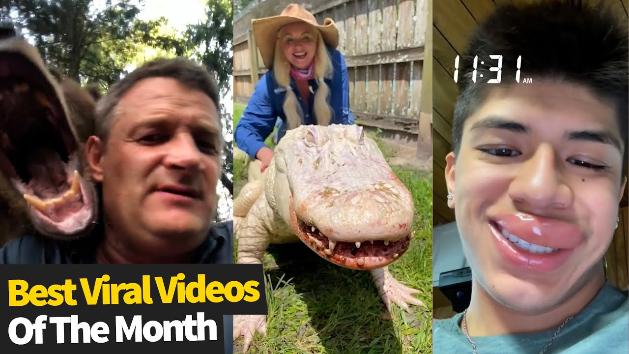 Top 25 BEST Viral Videos Of The Month - July 2021 - YouTube