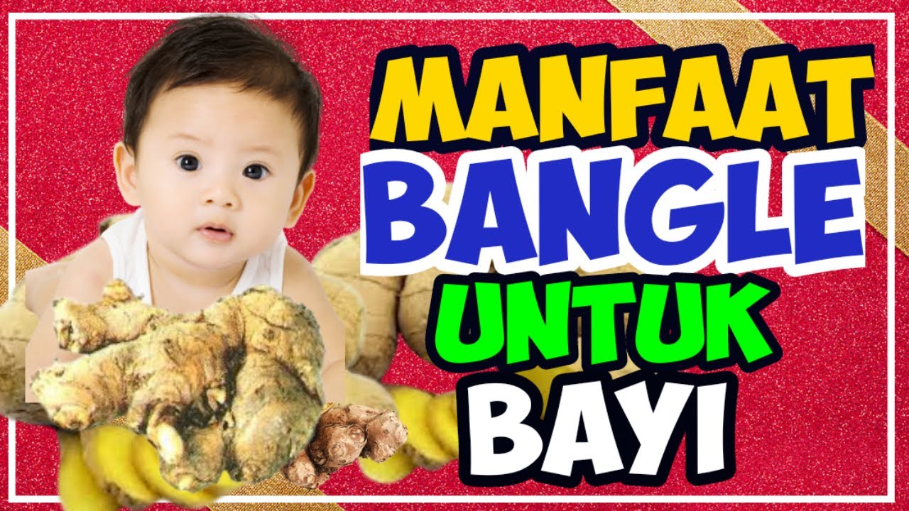 3 Manfaat Rimpang Bangle Untuk Kesehatan Bayi @JURAGANHERBAL74 - YouTube