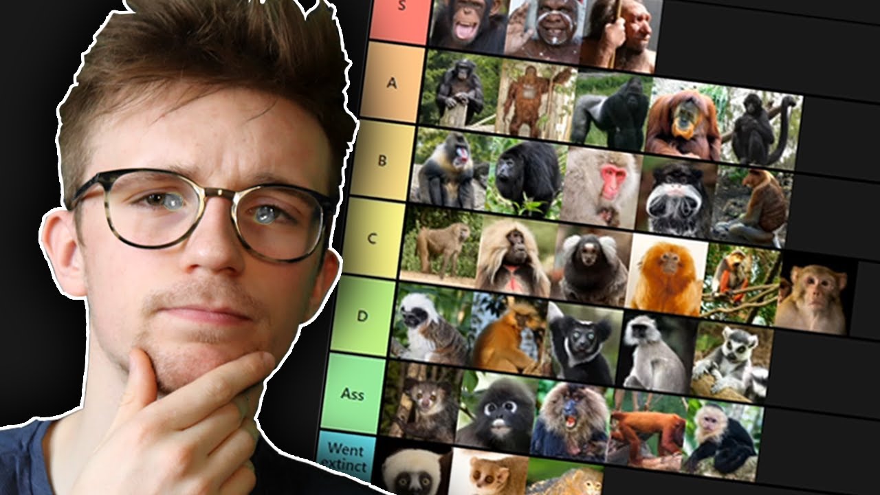 The Primate Tier List - YouTube