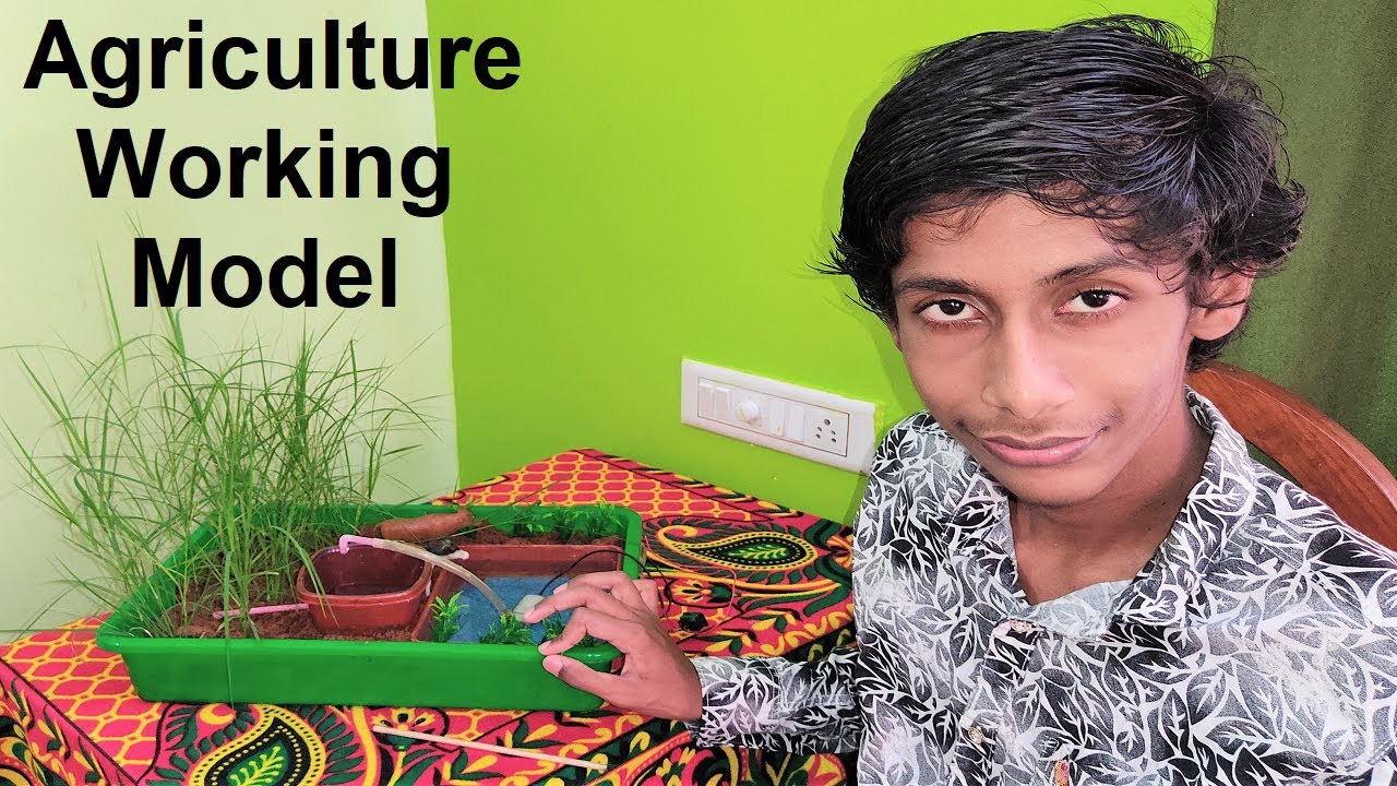 agriculture working model explanation science project | DIY pandit ...