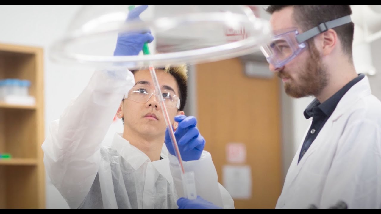 Bachelor of Biological Engineering — High-paying jobs - YouTube