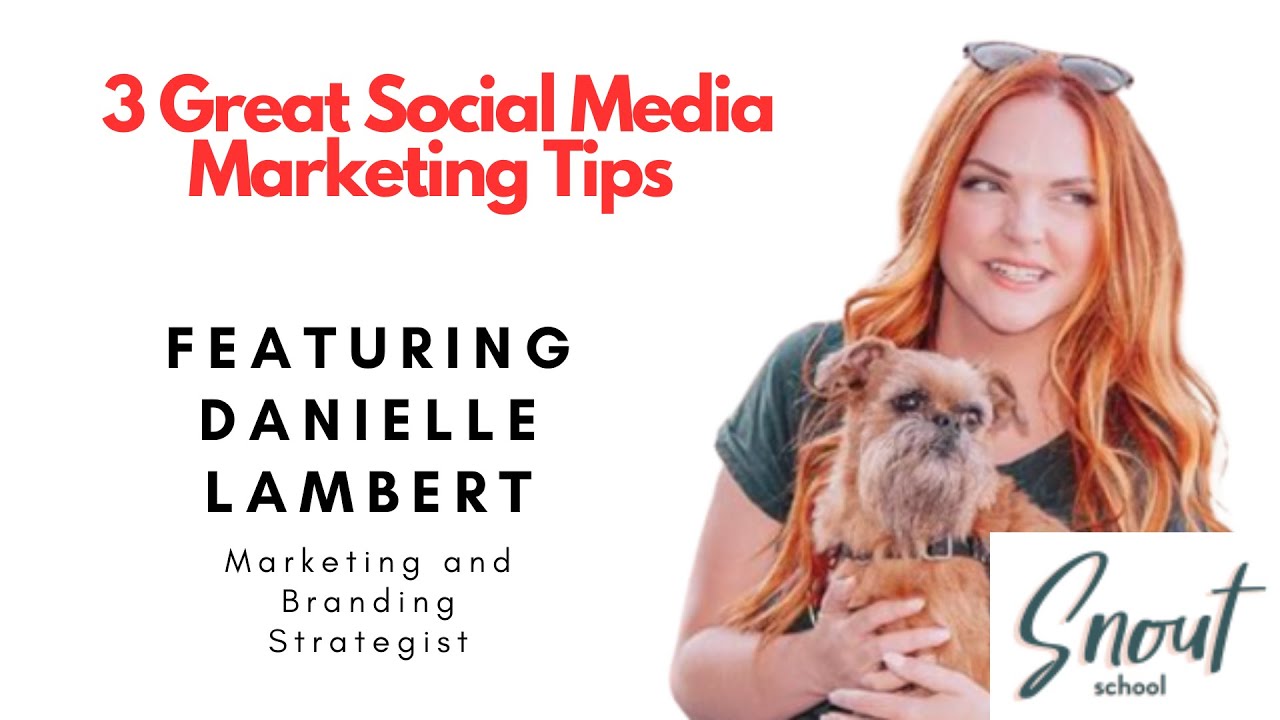 3 Tips on Social Media Strategy with Danielle Lambert of Snout School ...