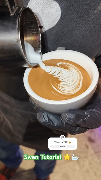 Swan Latte Art Tutorial - How To Pour Swan Latte 🦢🔥 [ LATTE ART ] #short #swan #trend #coffee # ...