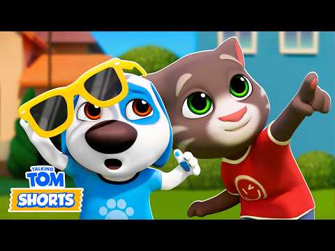 We Can't See! 🎆🙈 | Talking Tom Shorts: Specials | Cartoons for Kids