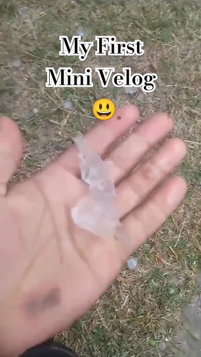 First Mini velog in Punjabi #bass #cat #pigeonpigeon #beat #spiner snow#snowfaall - YouTube