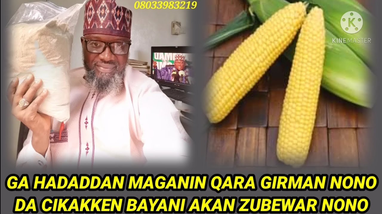 GA HADADDAN MAGANIN QARA GIRMAN NONO DA CIKAKKEN BAYANI AKAN ZUBEWAR ...