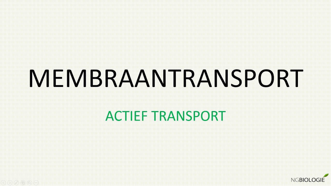 Actief transport - YouTube