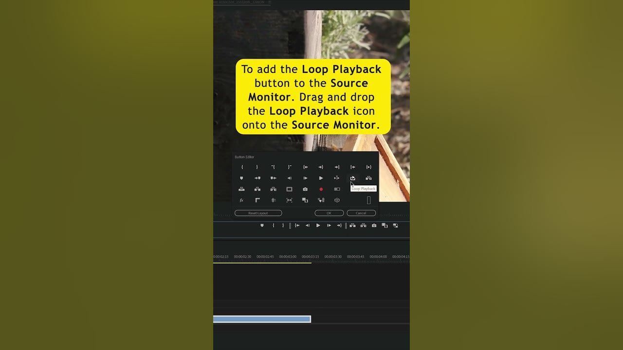 Loop Playback in Premiere Pro #premierepro #workflow #videoediting - YouTube