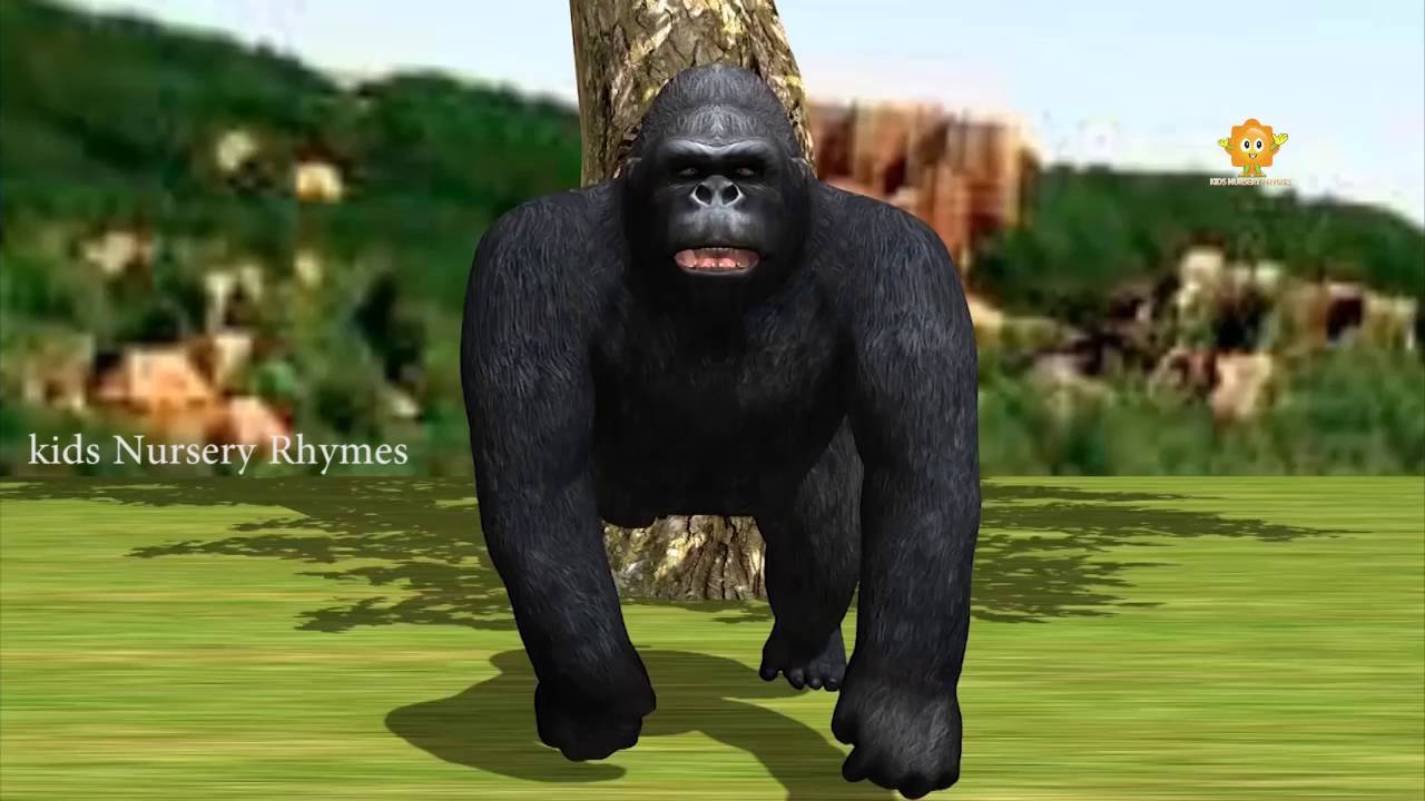 short Film ||Funny Short Film With Gorilla || 3D Cartoons For Kids ...