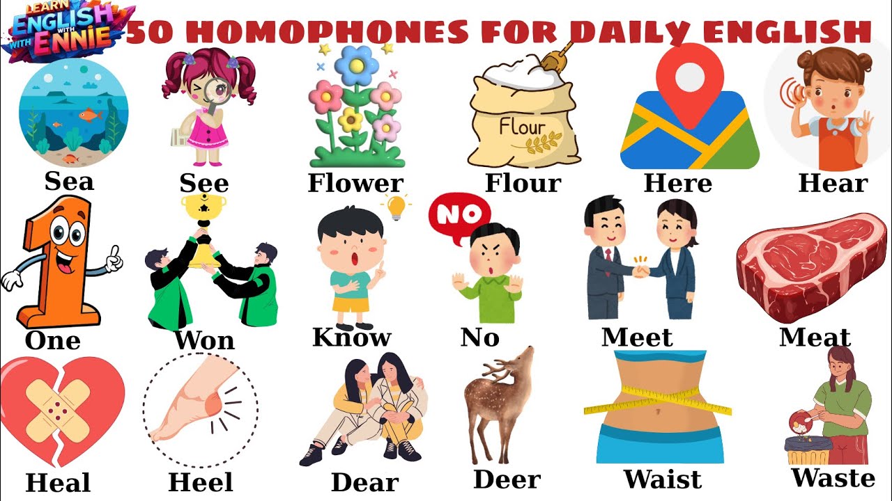50 Common Homophones Explained with Simple Example |Homophones for ...