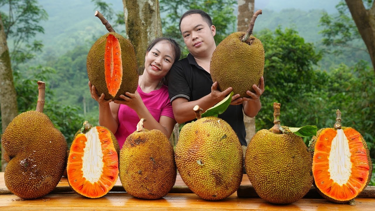 With my husband harvest Jackfruit, cook jackfruit dishes for children ...