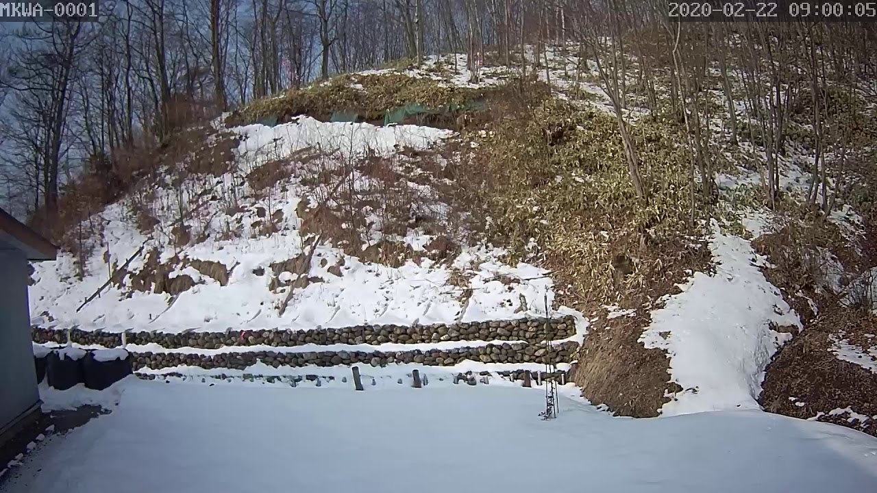 MKWA-0001 のライブ ストリーム - YouTube