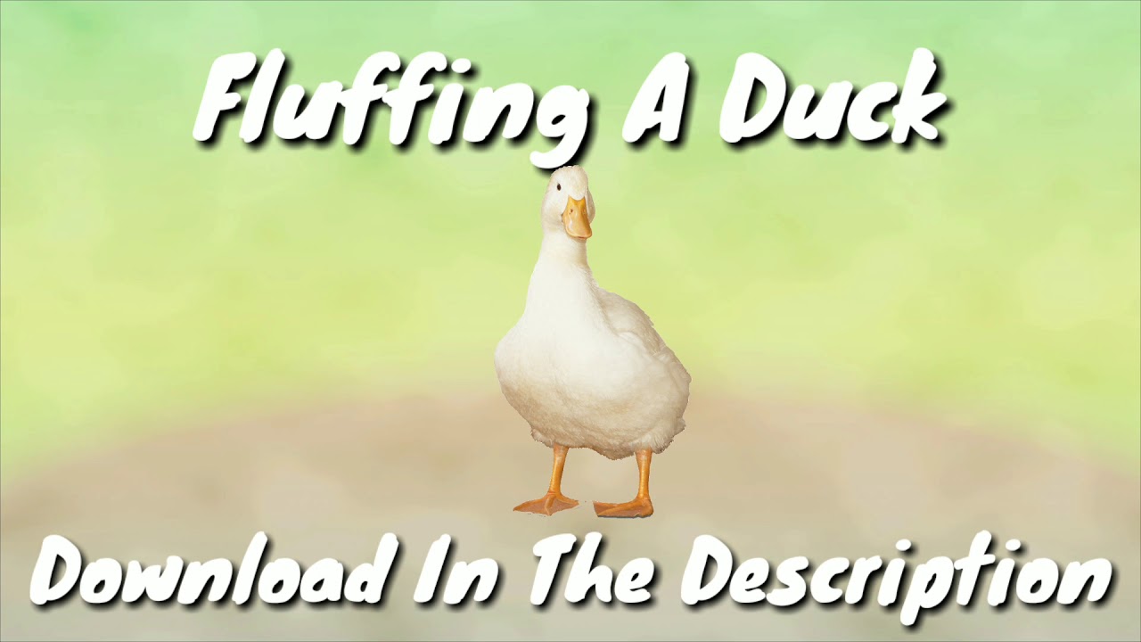 Fluffing A Duck | by: Kevin MacLeod - YouTube