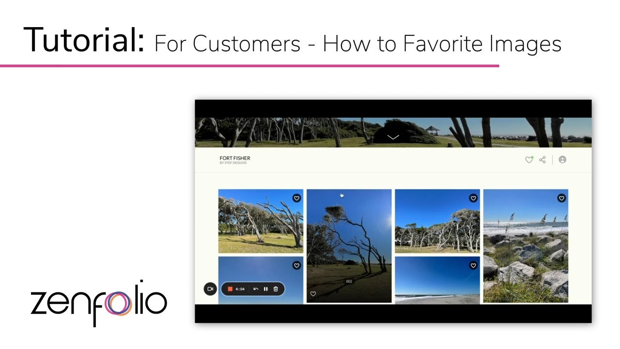How to Use the Favorites Feature as a Visitor on a Zenfolio ...