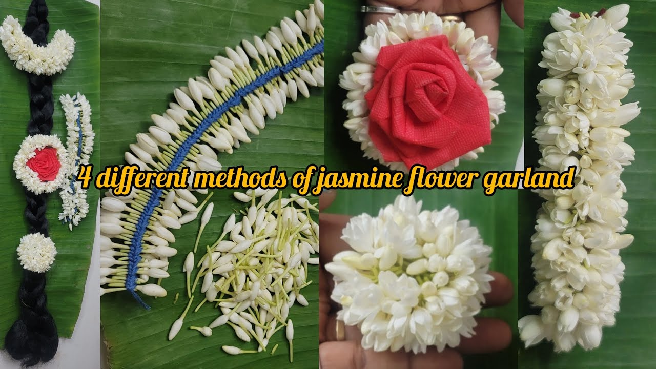 String Jasmine flowers in 4 different ways |4 different of jasmine ...