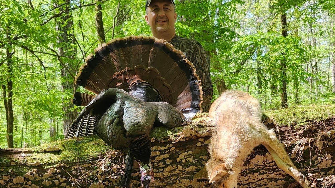 Jack's #2 Gobbler of 2024!! - YouTube