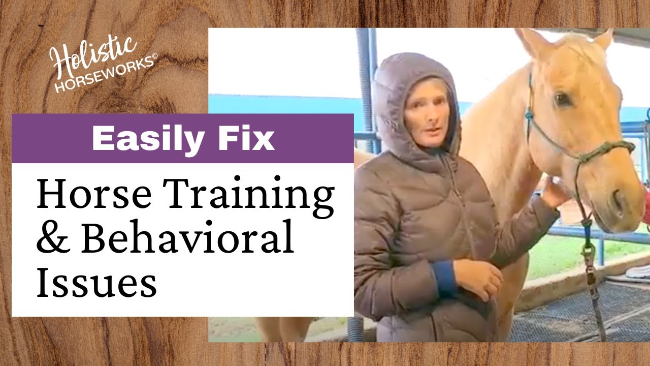 Horse training and behavioral issues easily fixed - YouTube