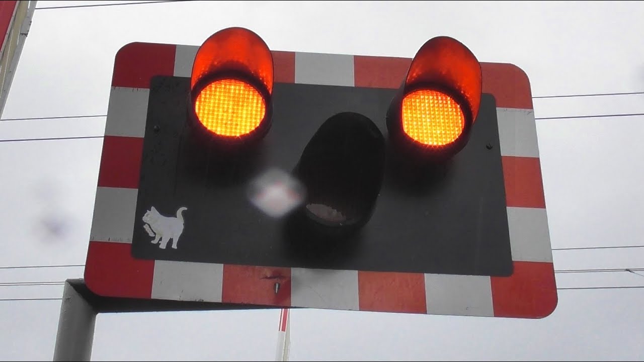 Railway Crossing - Sandymount Avenue, Dublin - YouTube