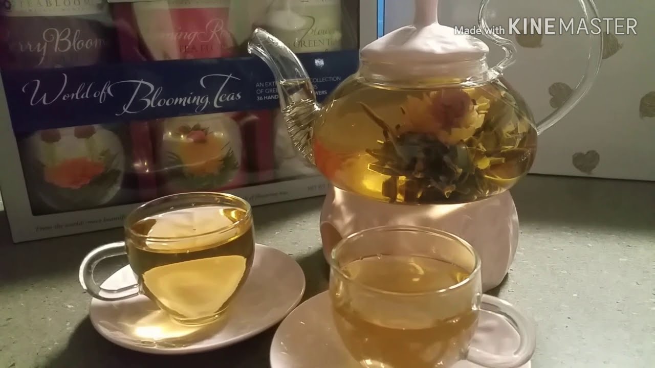 FLOWERING TEA | Blooming Tea+Unboxing Teapot - YouTube