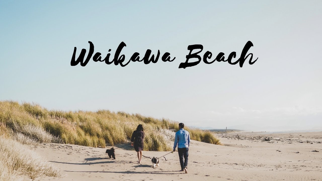 Archie & Charlie | WAIKAWA BEACH - YouTube
