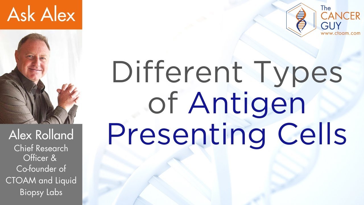 Different Types of Antigen Presenting Cells - YouTube