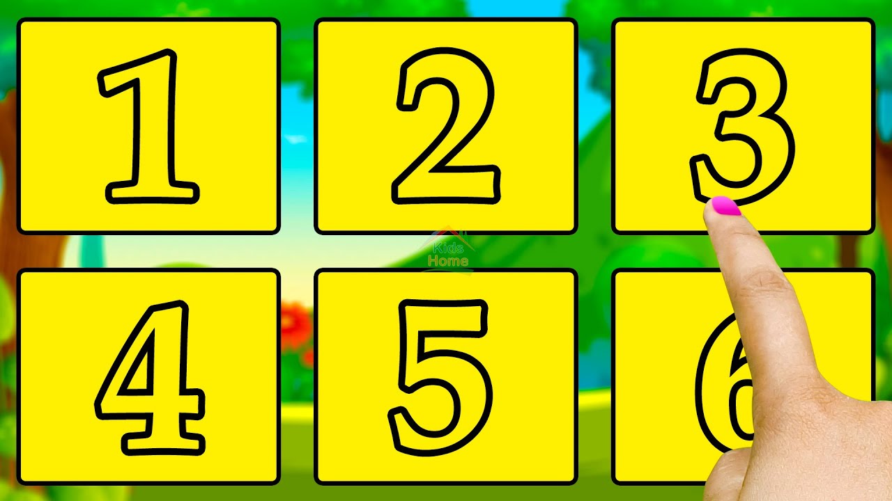 Learn English Numbers 1 to 50 | Learn Numbers One to Fifty | Counting 1 ...