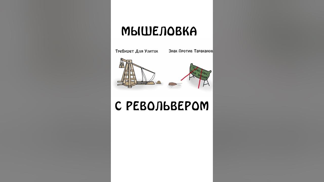 Как вам такой девайс ? #сэмонелла #шортс #животные #изобретения - YouTube
