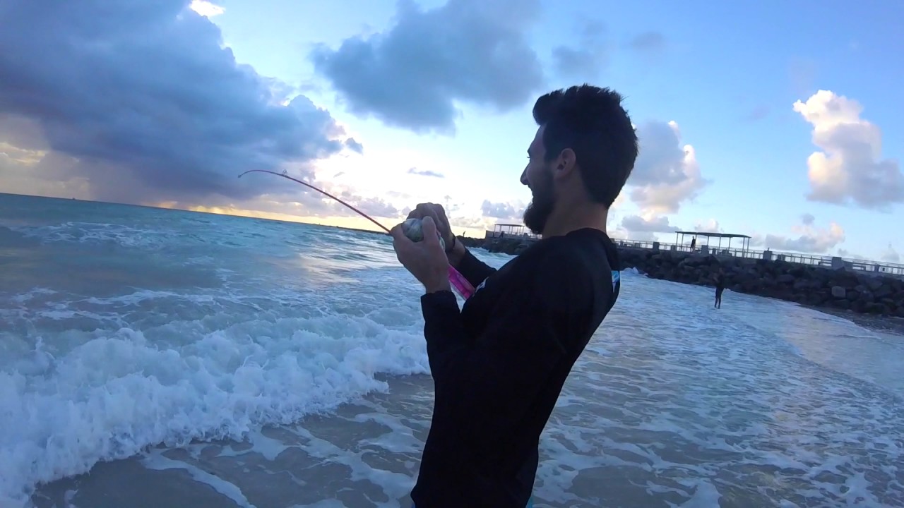 Barbie Rod Snook Fishing In Miami - ALEXWEX - YouTube