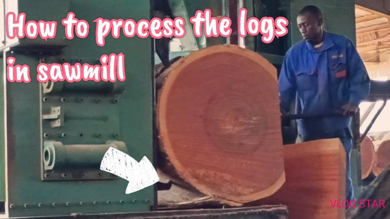 How to process the logs in sawmill factory! - YouTube