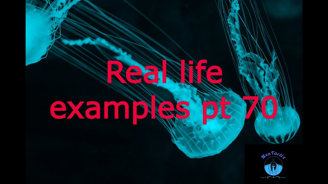 Real life examples pt 70 - YouTube