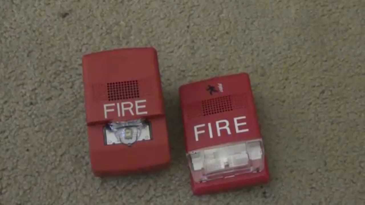 Comparing EST Genesis & LED Genesis' Body - YouTube