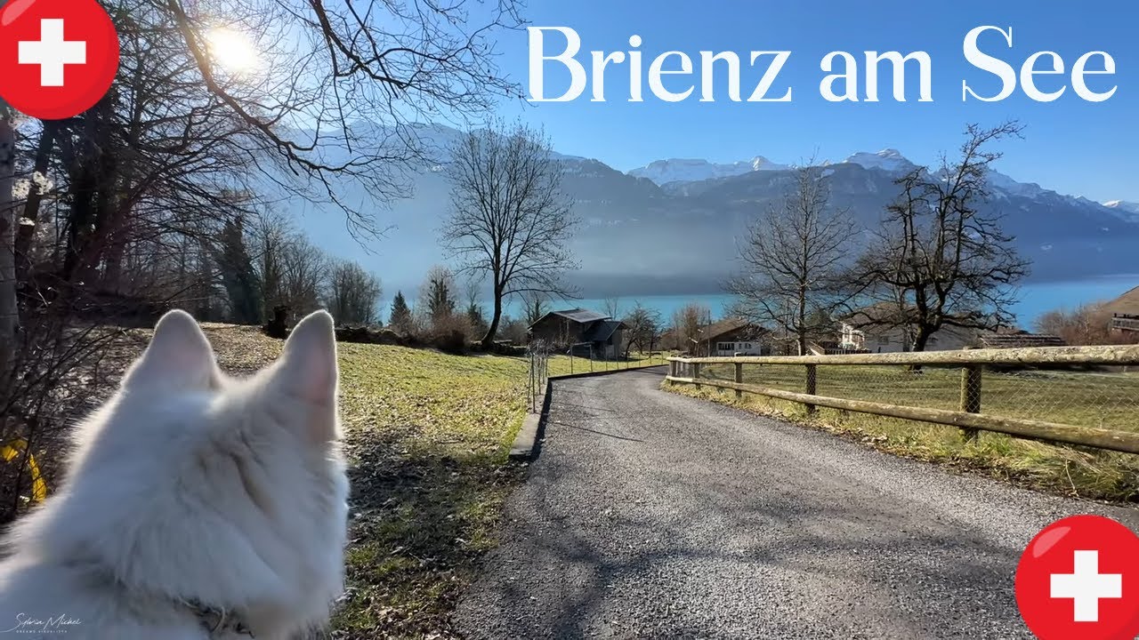Almost Spring in Brienz am See Switzerland - YouTube