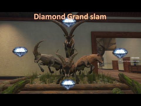 TheHunter: COTW PS5 Diamond and rare highlights #18 - YouTube