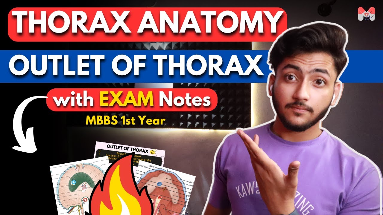 Thorax Anatomy- Outlet of Thorax | MBBS 1st Year | Full Explanation ...