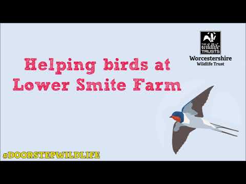 Helping birds at Lower Smite Farm - YouTube