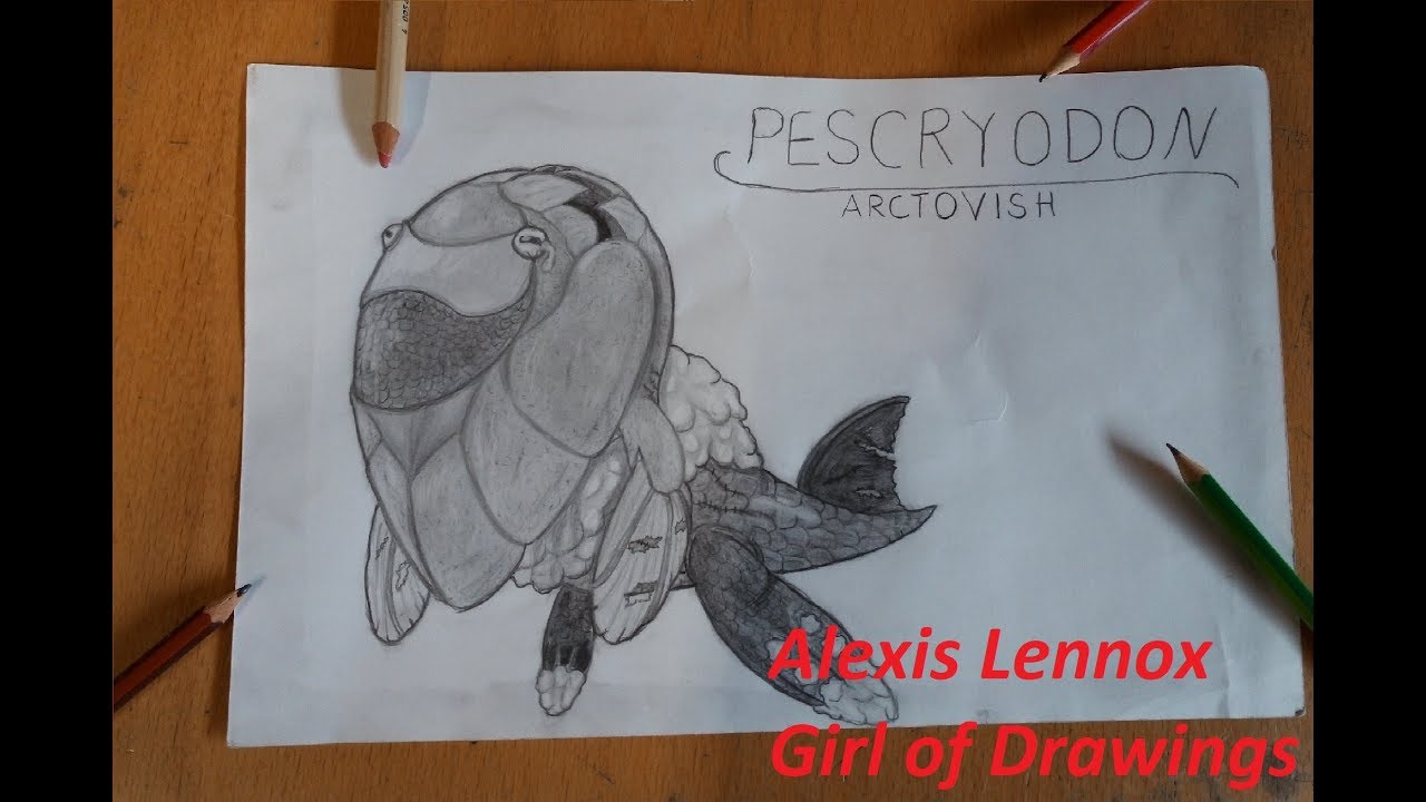 Alexis Art - Drawing Arctovish ( Pokemon Sword and Shield ) - YouTube