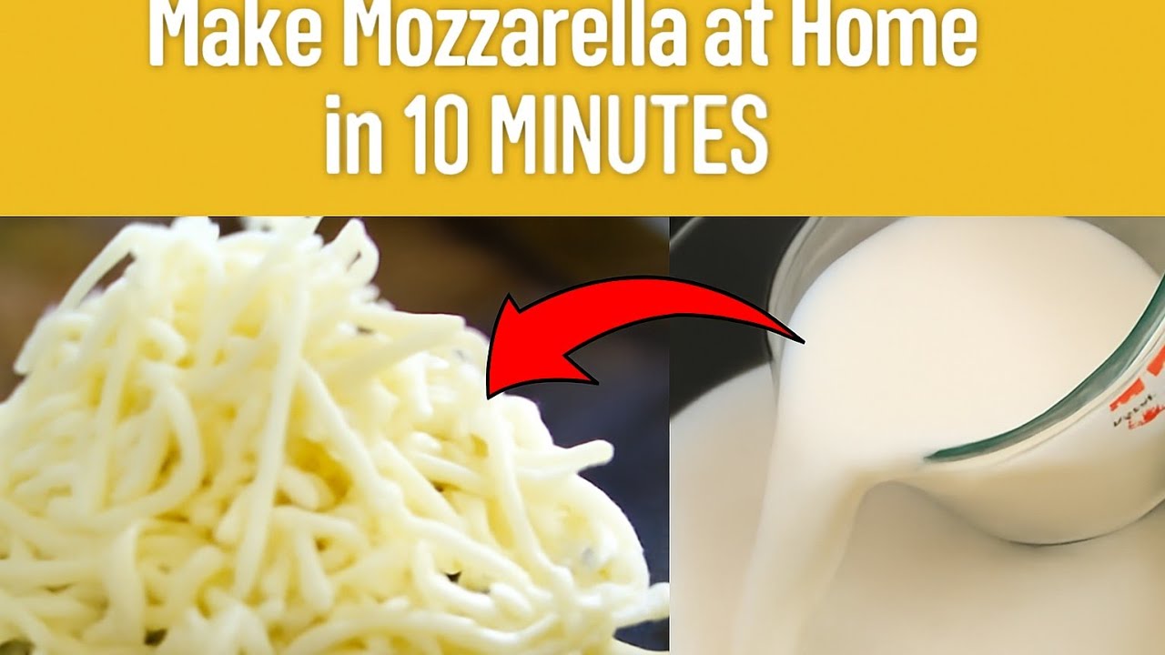 How to Make Mozzarella Cheese at Home || Quick, Easy & Delicious ...