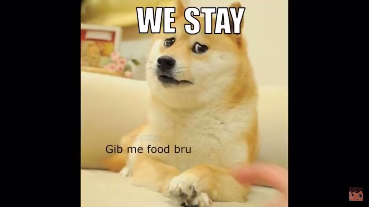 Rock rap doge - YouTube