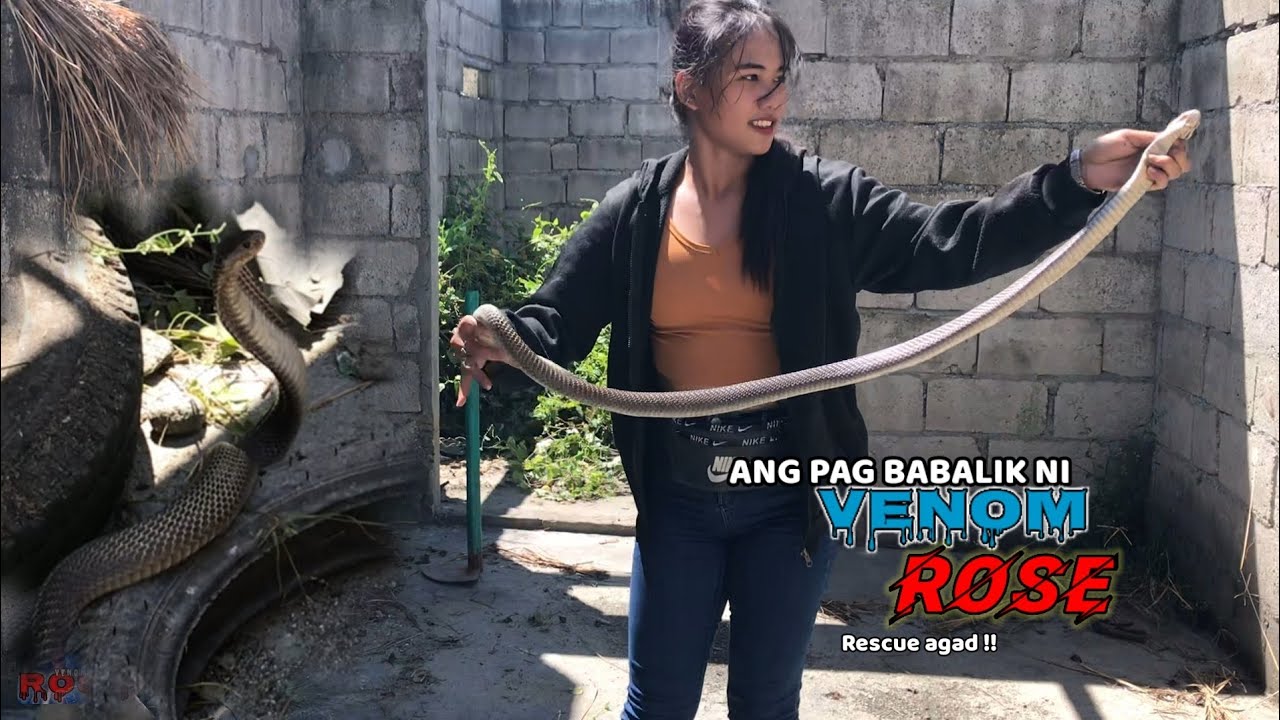 Ang Pag babalik ni VENOM ROSE rescue agad !! | venom rose anak ni zuma ...