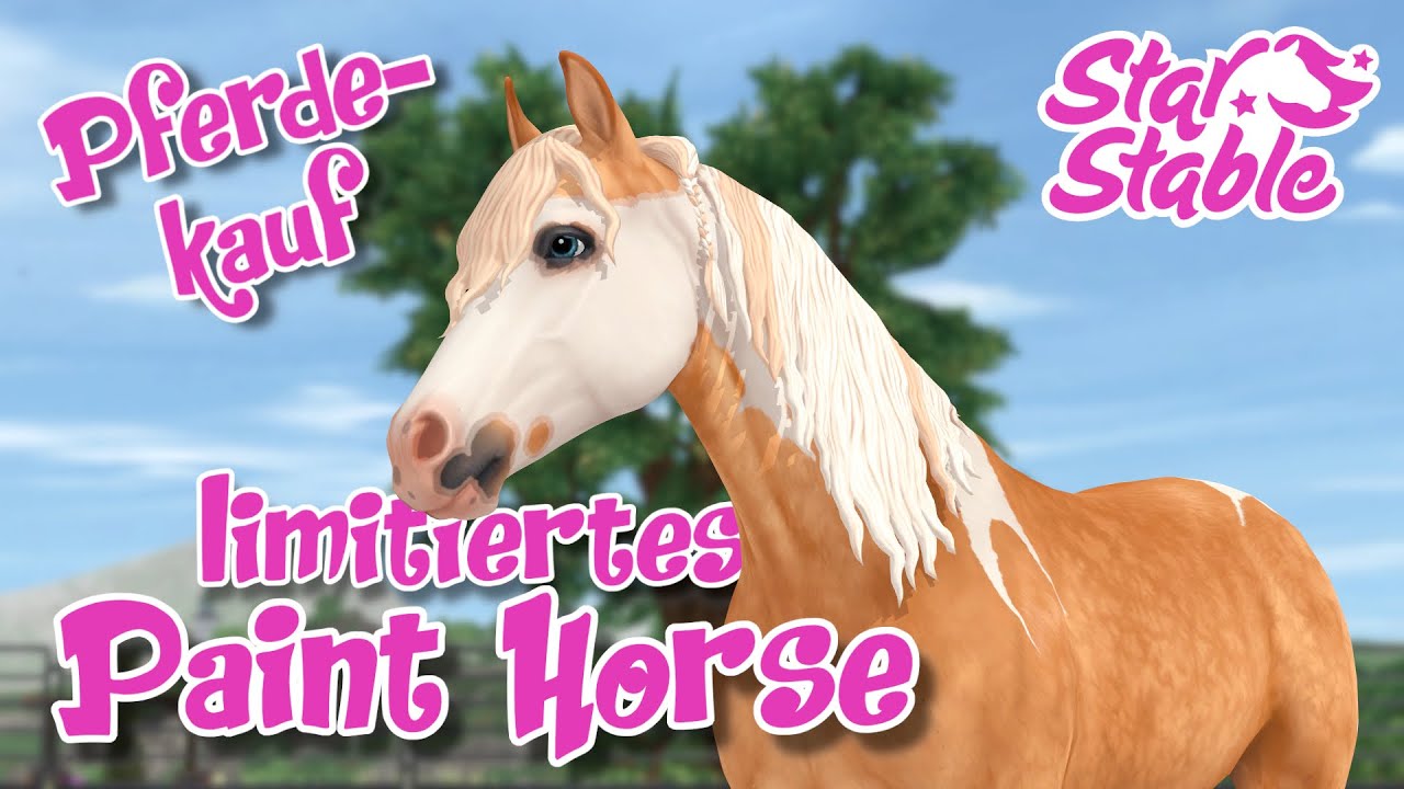 Star Stable [SSO] Pferdekauf - Das limitirte Paint Horse (12 ...