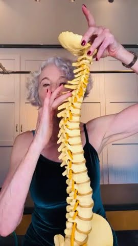 Spine Curves: Understanding the Natural S-Shape. #spinehealth # ...