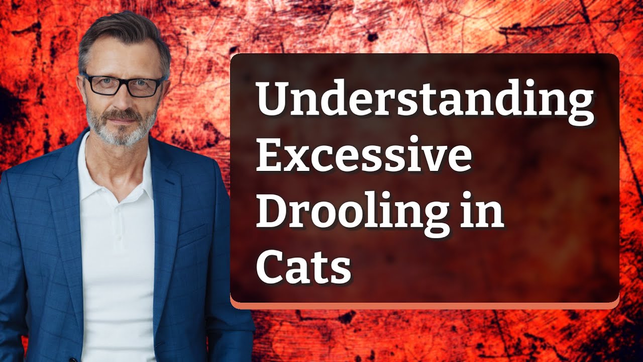 Understanding Excessive Drooling in Cats - YouTube