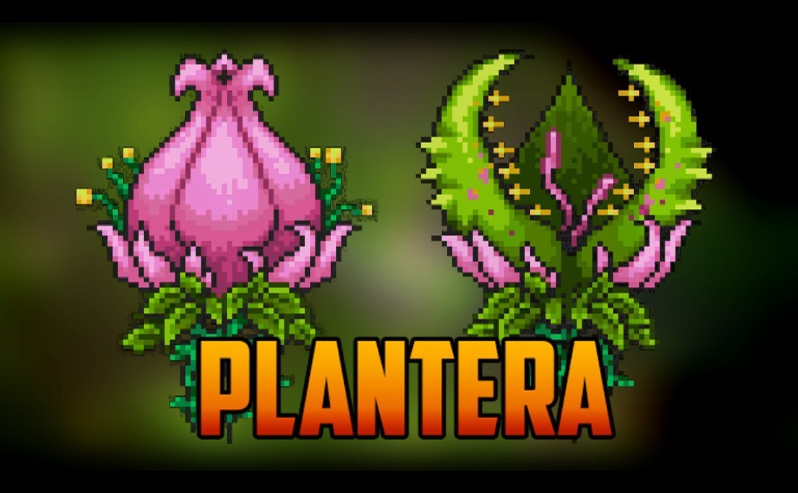 Como encontrar Plantera - Terraria - YouTube